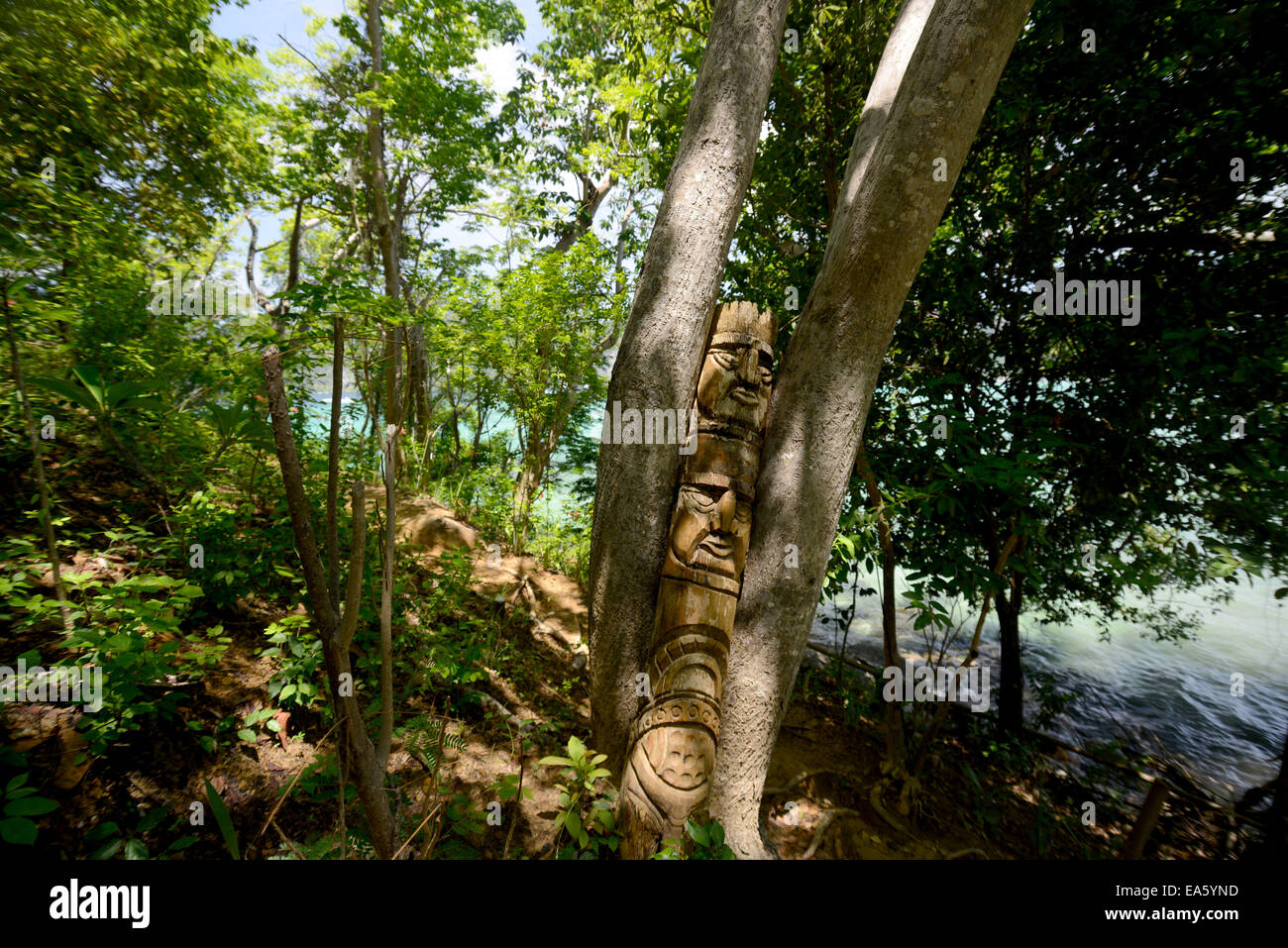 Pipi island hi-res stock photography and images - Alamy