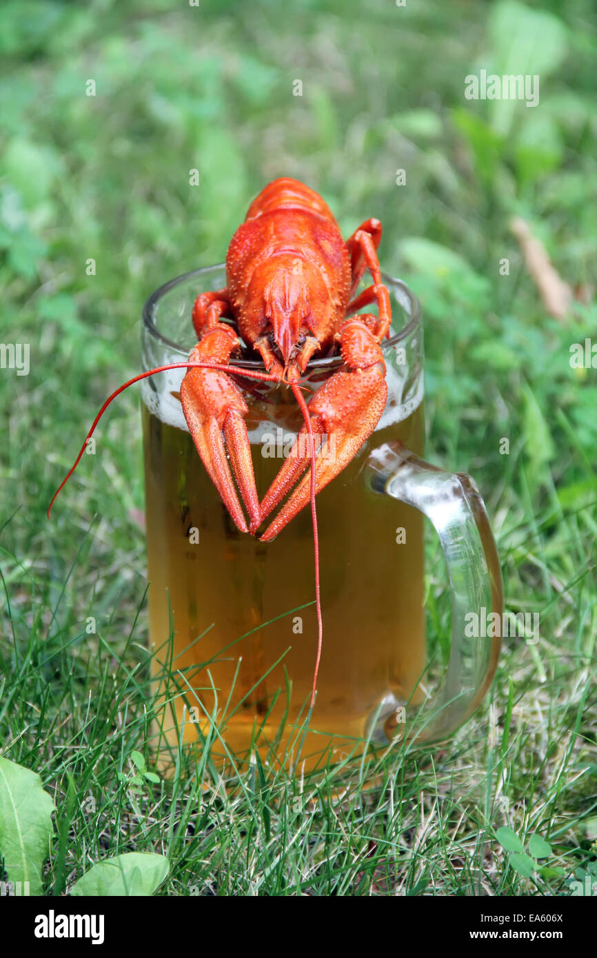 Red crawfish and beer Stock Photo - Alamy