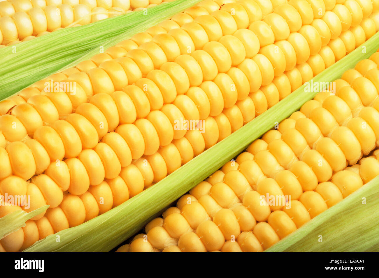 Maize stem cob hi-res stock photography and images - Alamy