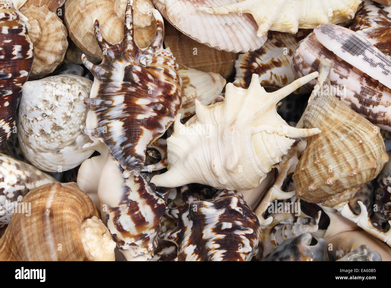 Ansammeln hi-res stock photography and images - Alamy