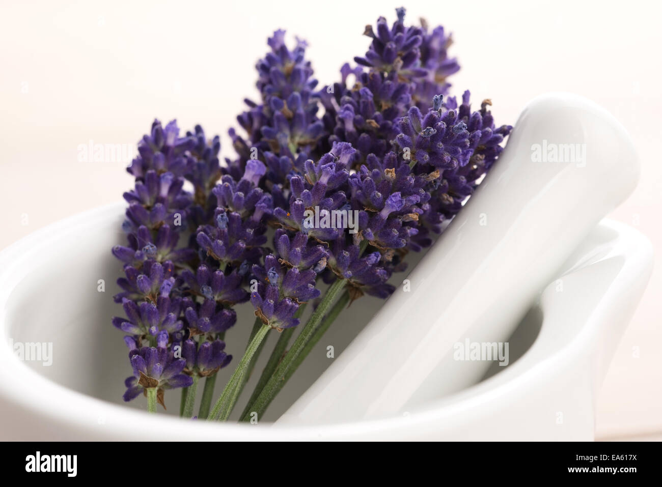 Lavender in mortar hi-res stock photography and images - Alamy