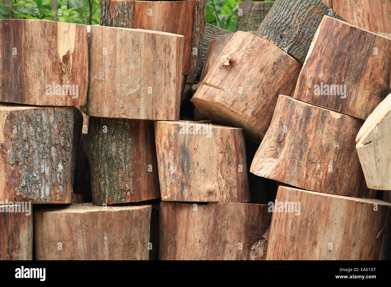 tree trunk sawn into pieces firewood Stock Photo - Alamy