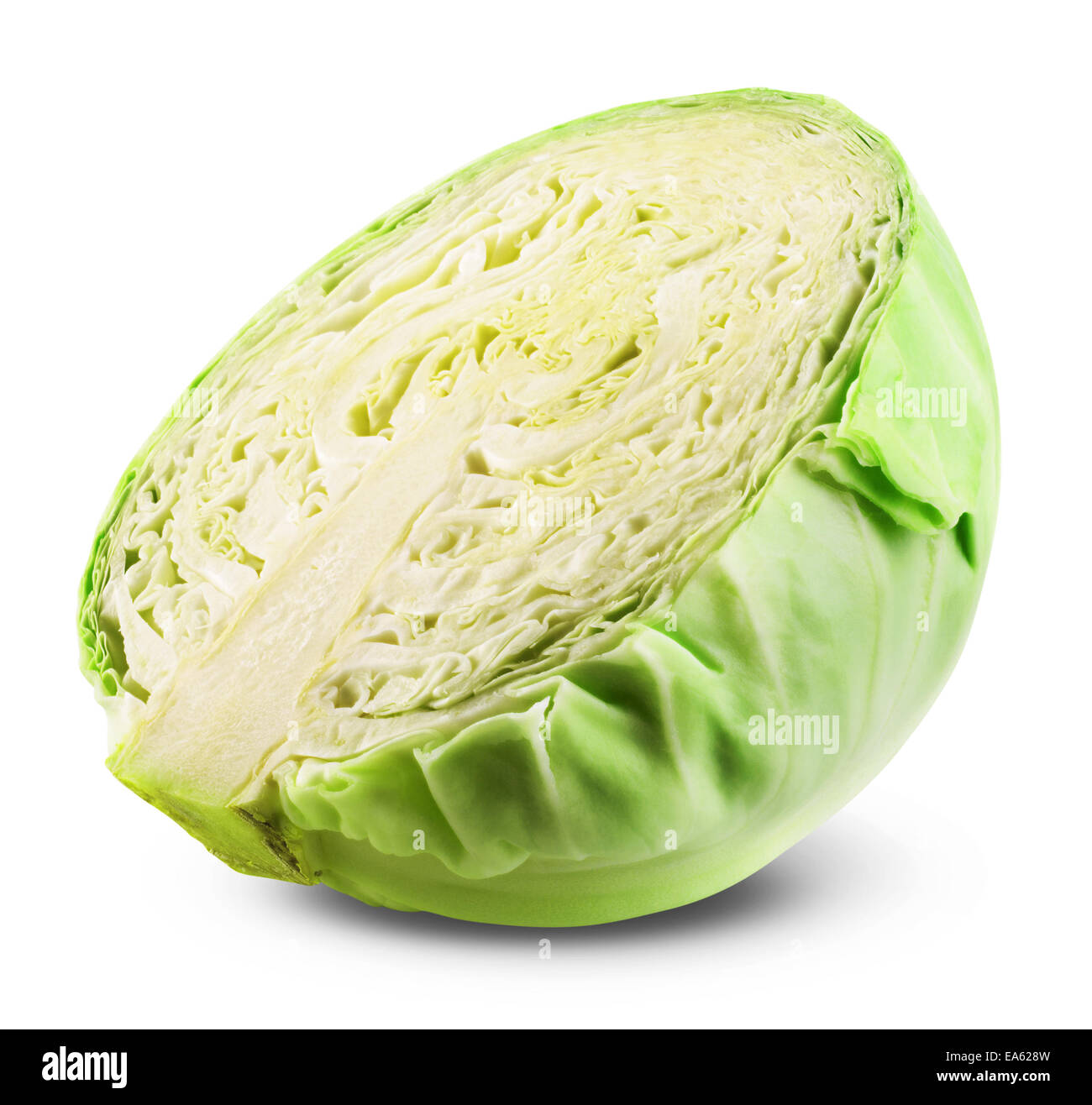 Cabbage cross section Cut Out Stock Images & Pictures - Alamy