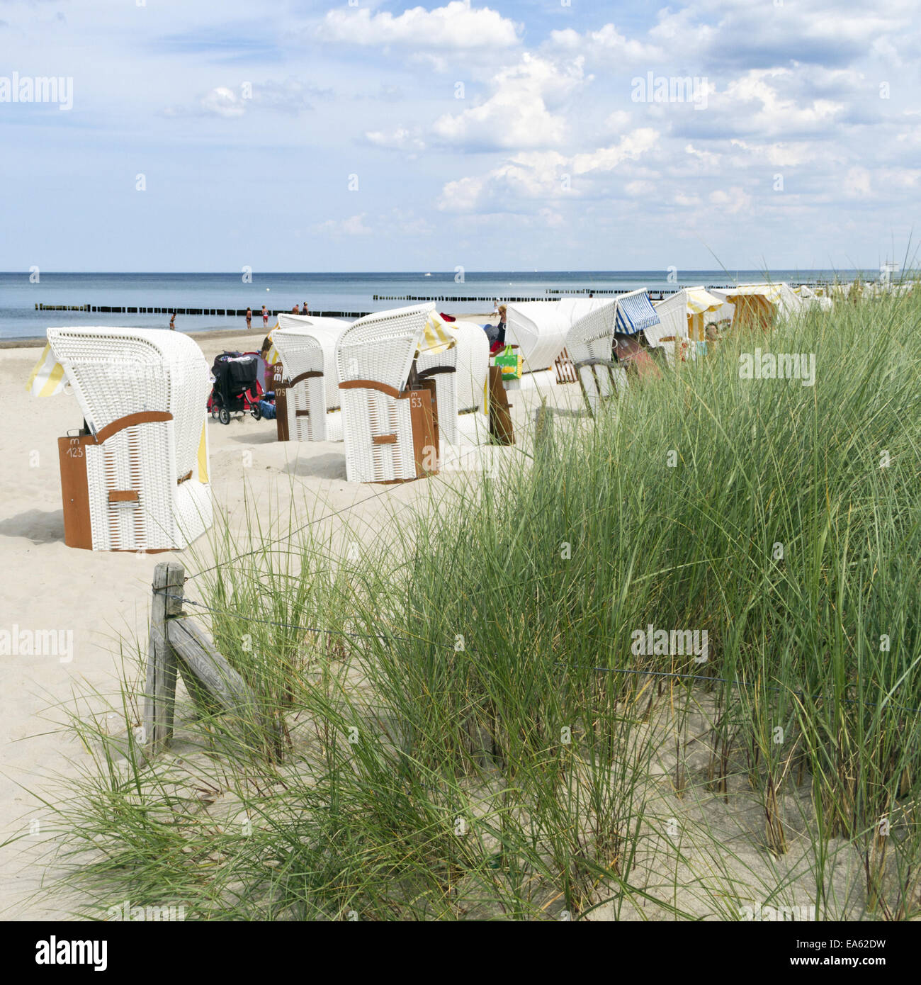 Baltic Sea coast Stock Photo - Alamy