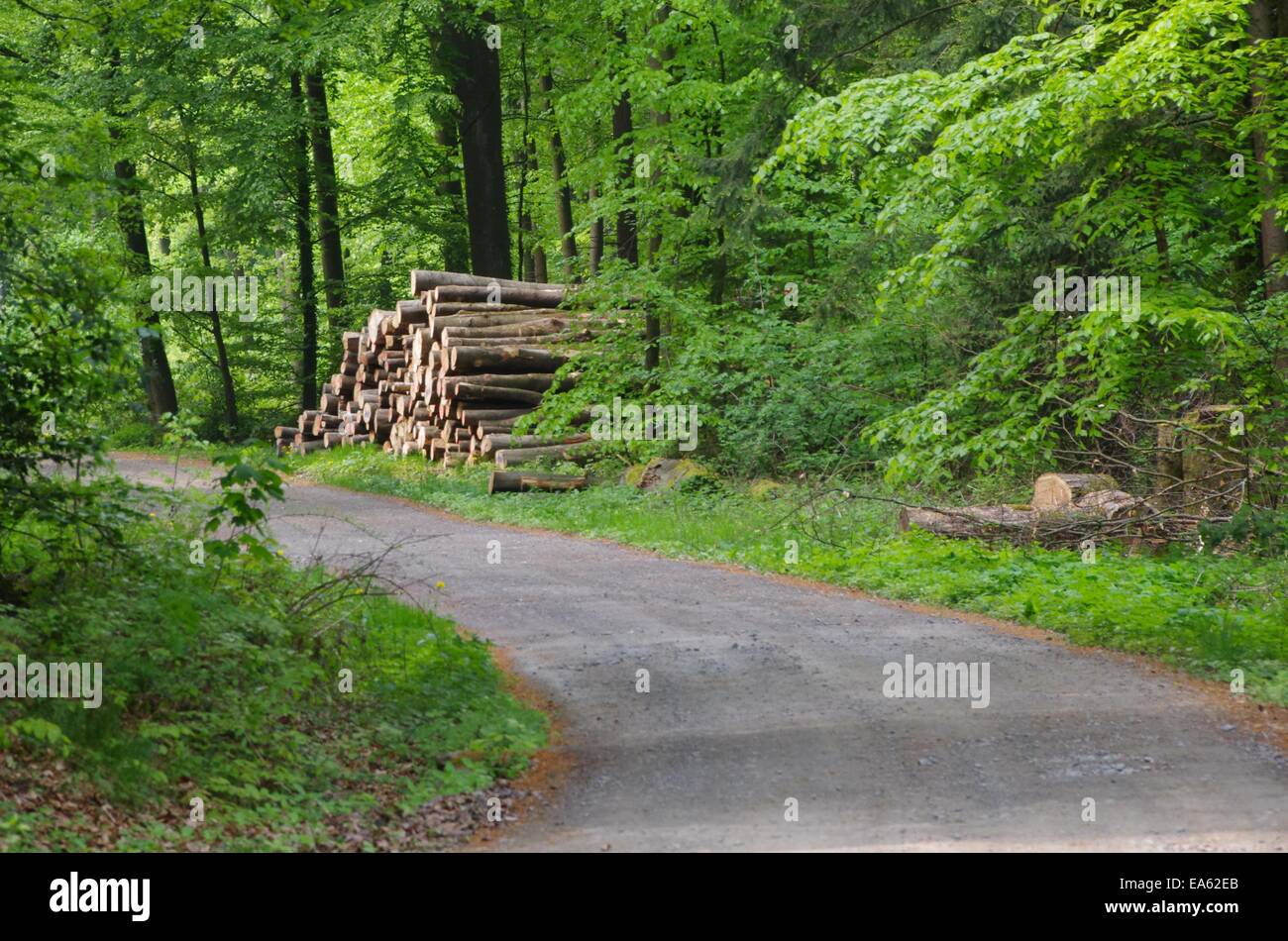 Hintergrundbilder landschaft hi-res stock photography and images - Alamy