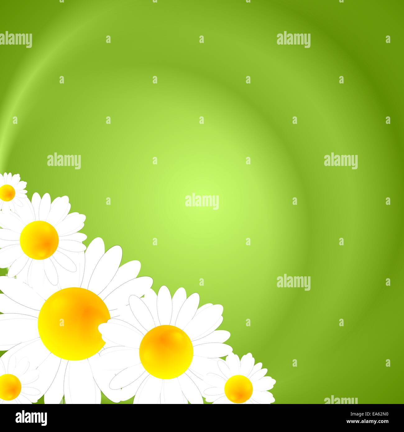 Green summer nature background Stock Photo - Alamy