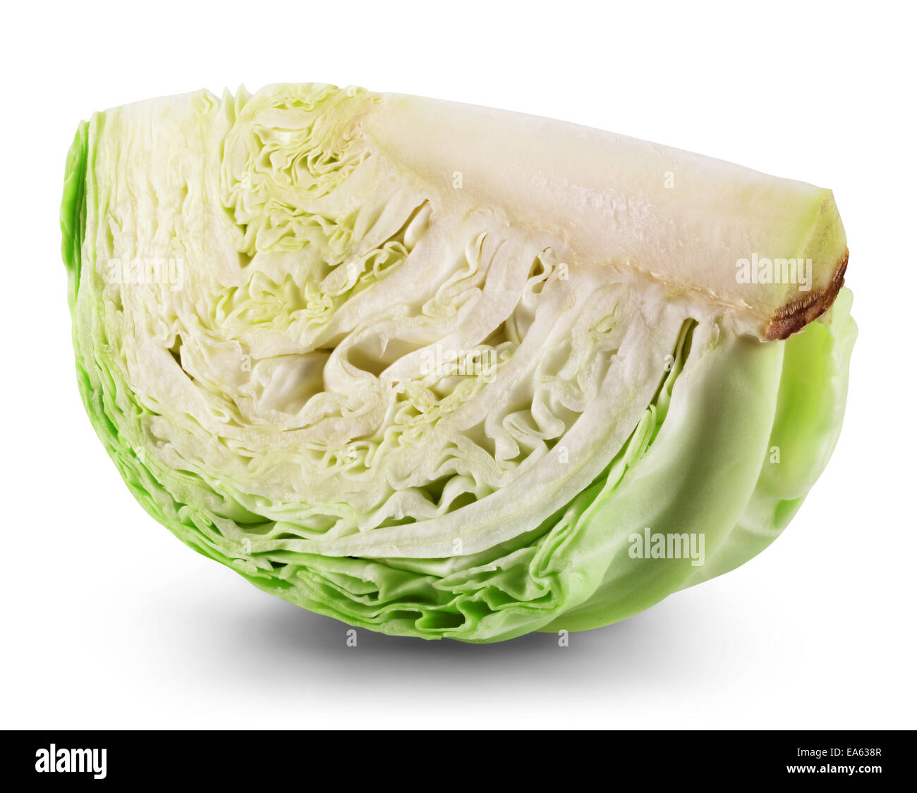 Cabbage cross section Cut Out Stock Images & Pictures - Alamy