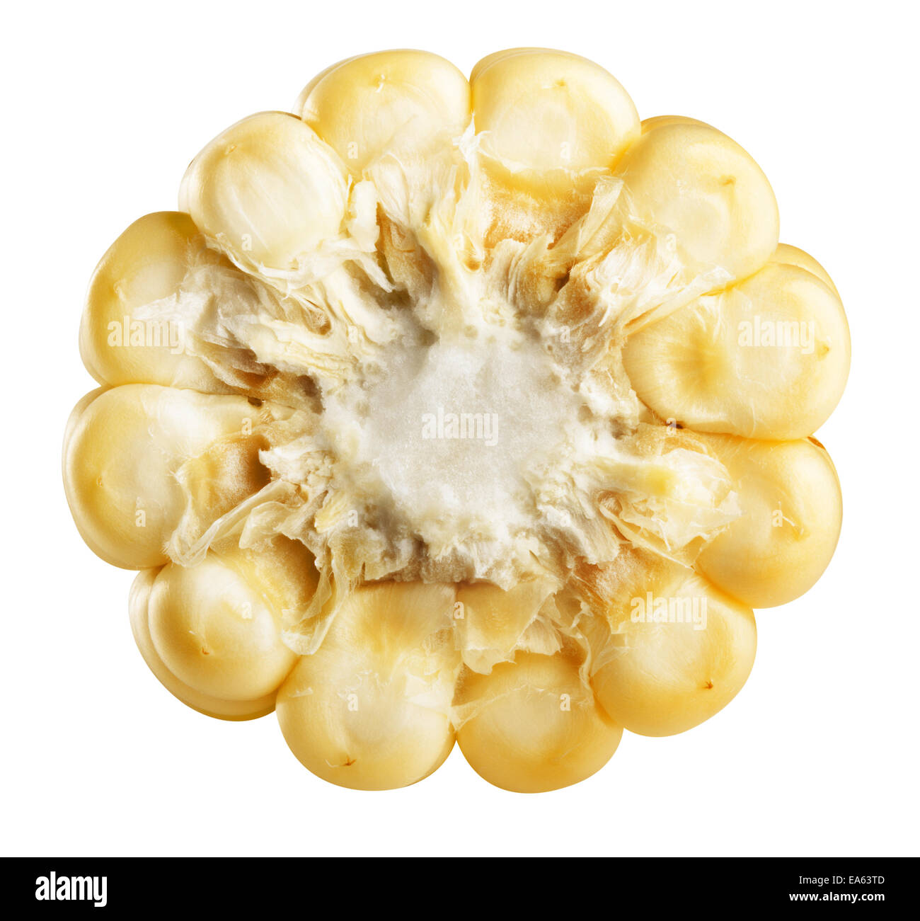 Corn o hi-res stock photography and images - Alamy