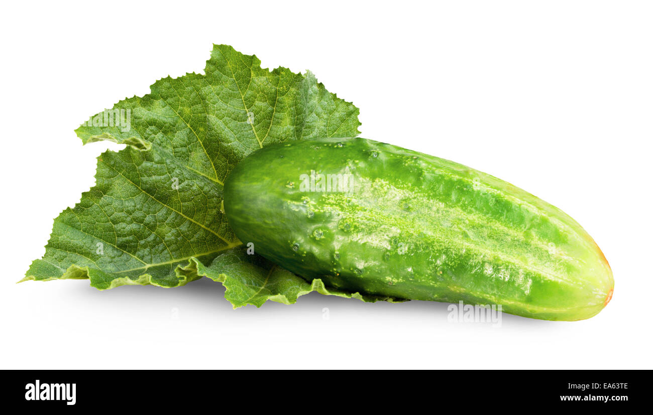 Cucumber fresh hi-res stock photography and images - Alamy