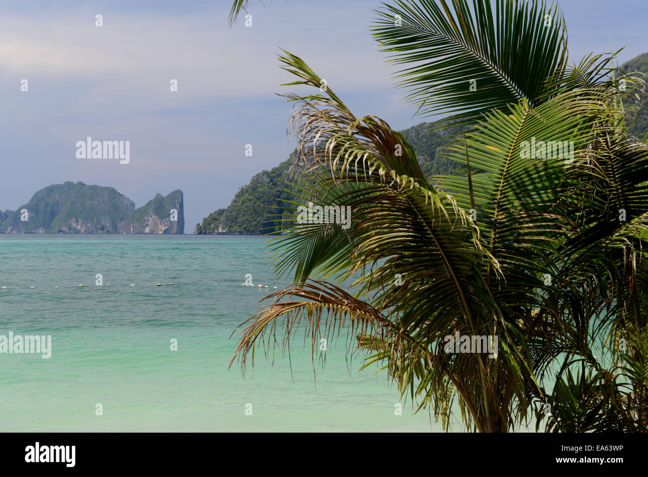 Pipi island hi-res stock photography and images - Alamy