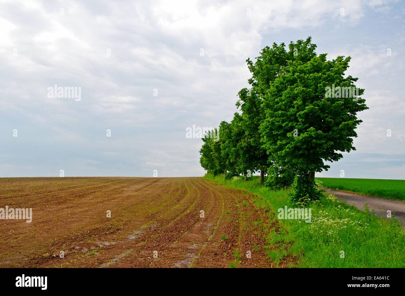 lane Stock Photo - Alamy