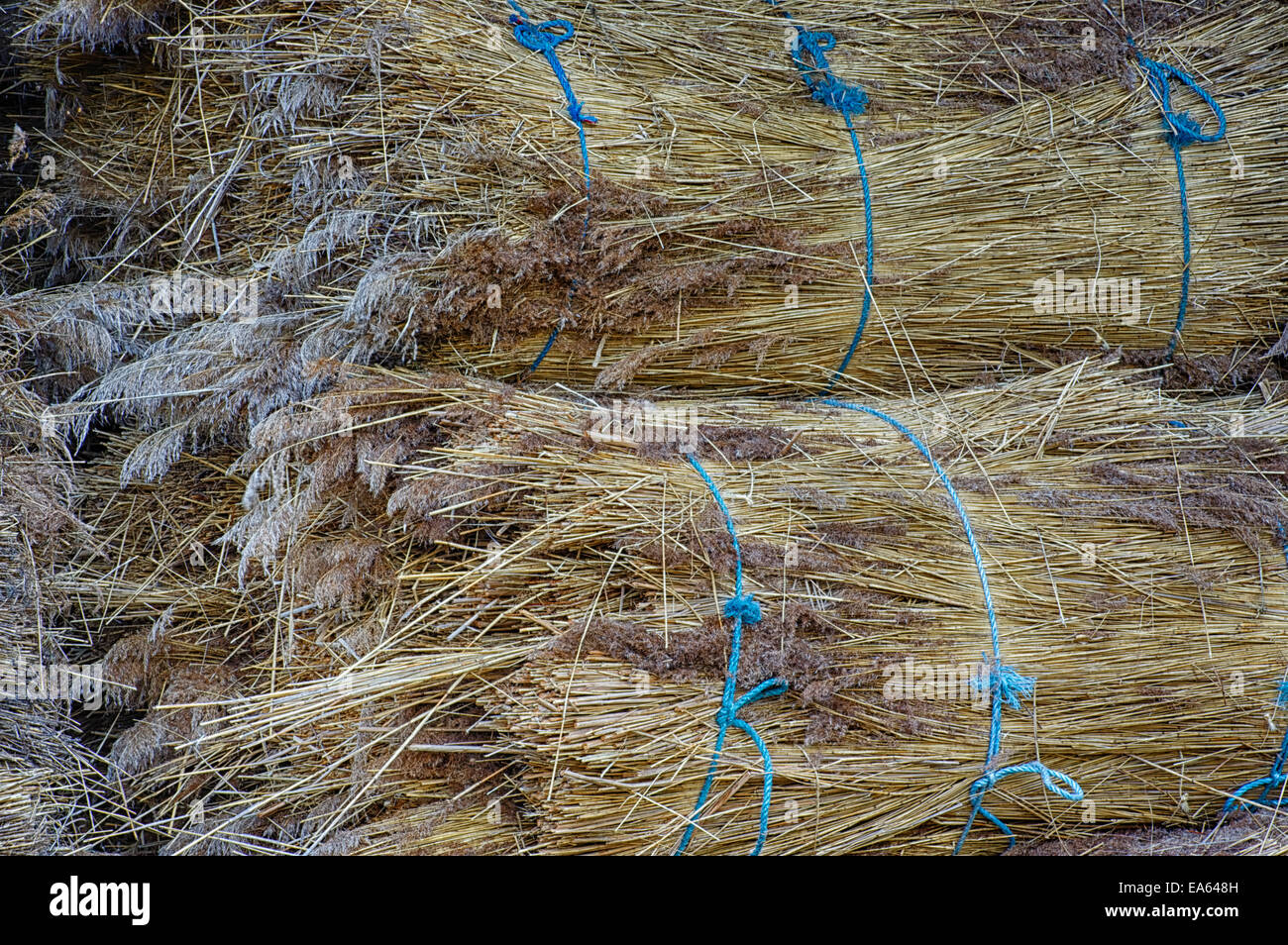 Thatched roof and germany and rooftops hi-res stock photography and ...