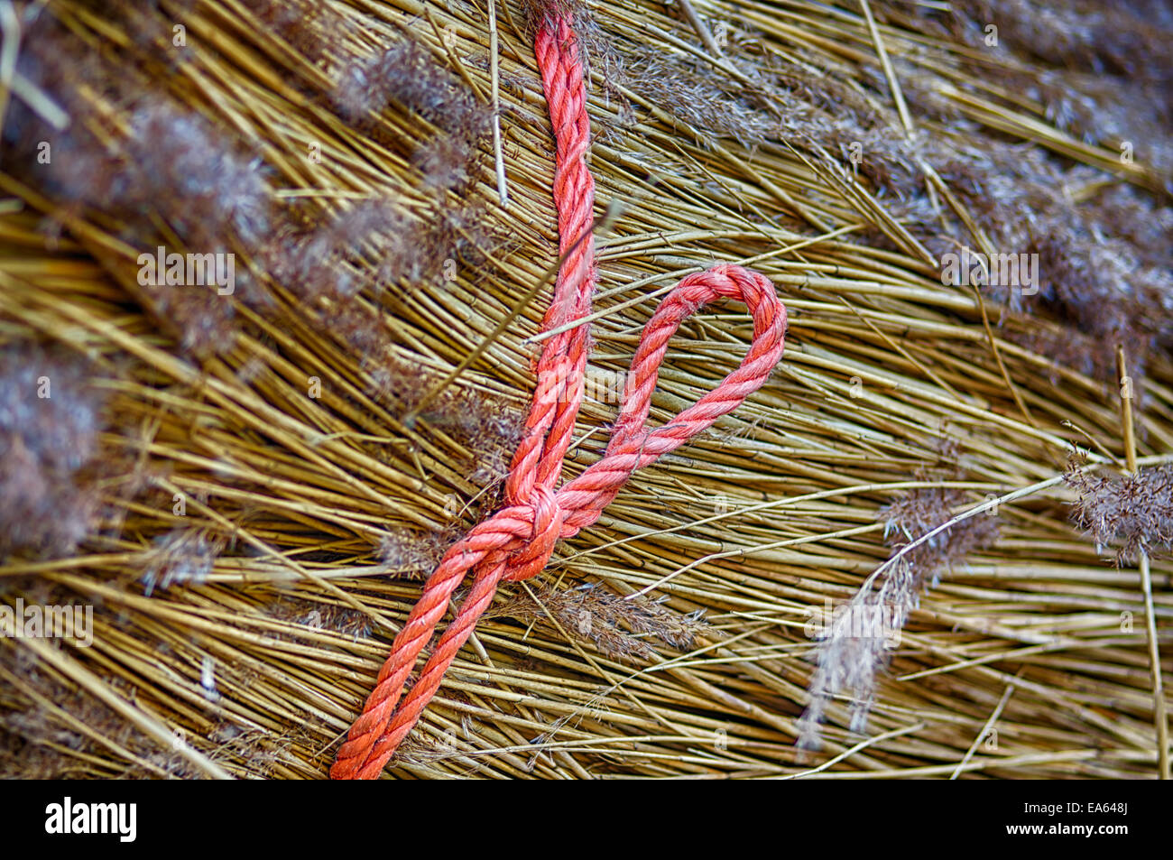 Thatched roof and germany and rooftops hi-res stock photography and ...