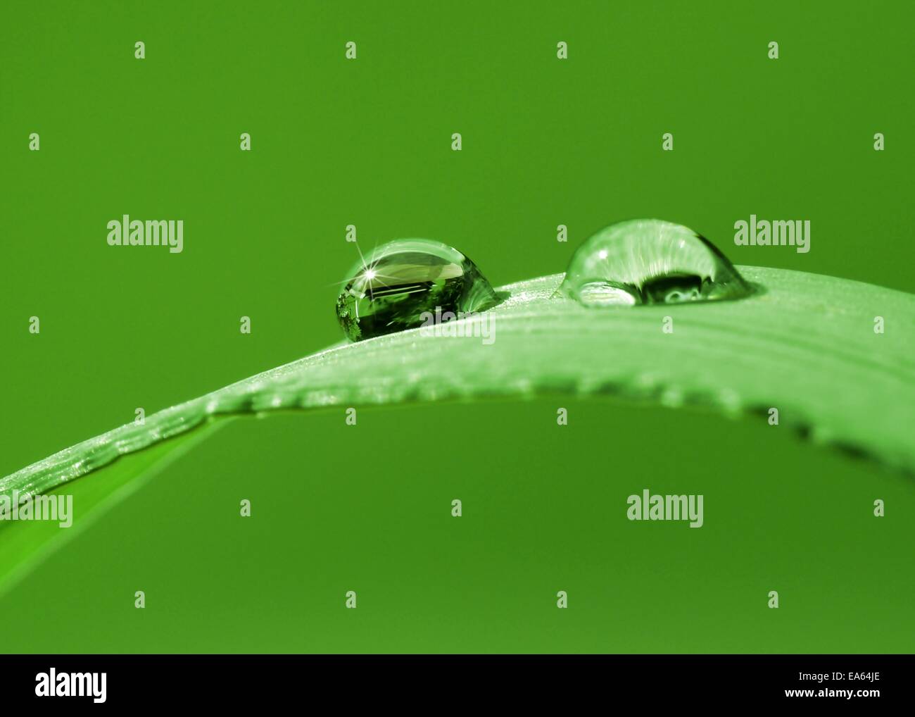 Organic waterdrops hi-res stock photography and images - Alamy