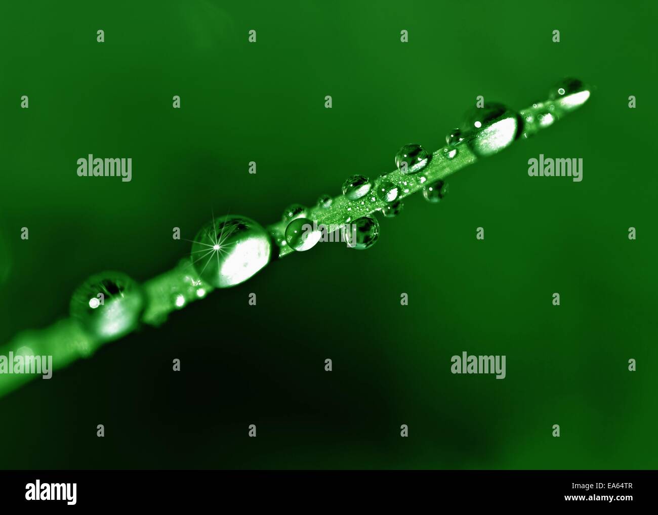 Organic waterdrops hi-res stock photography and images - Alamy