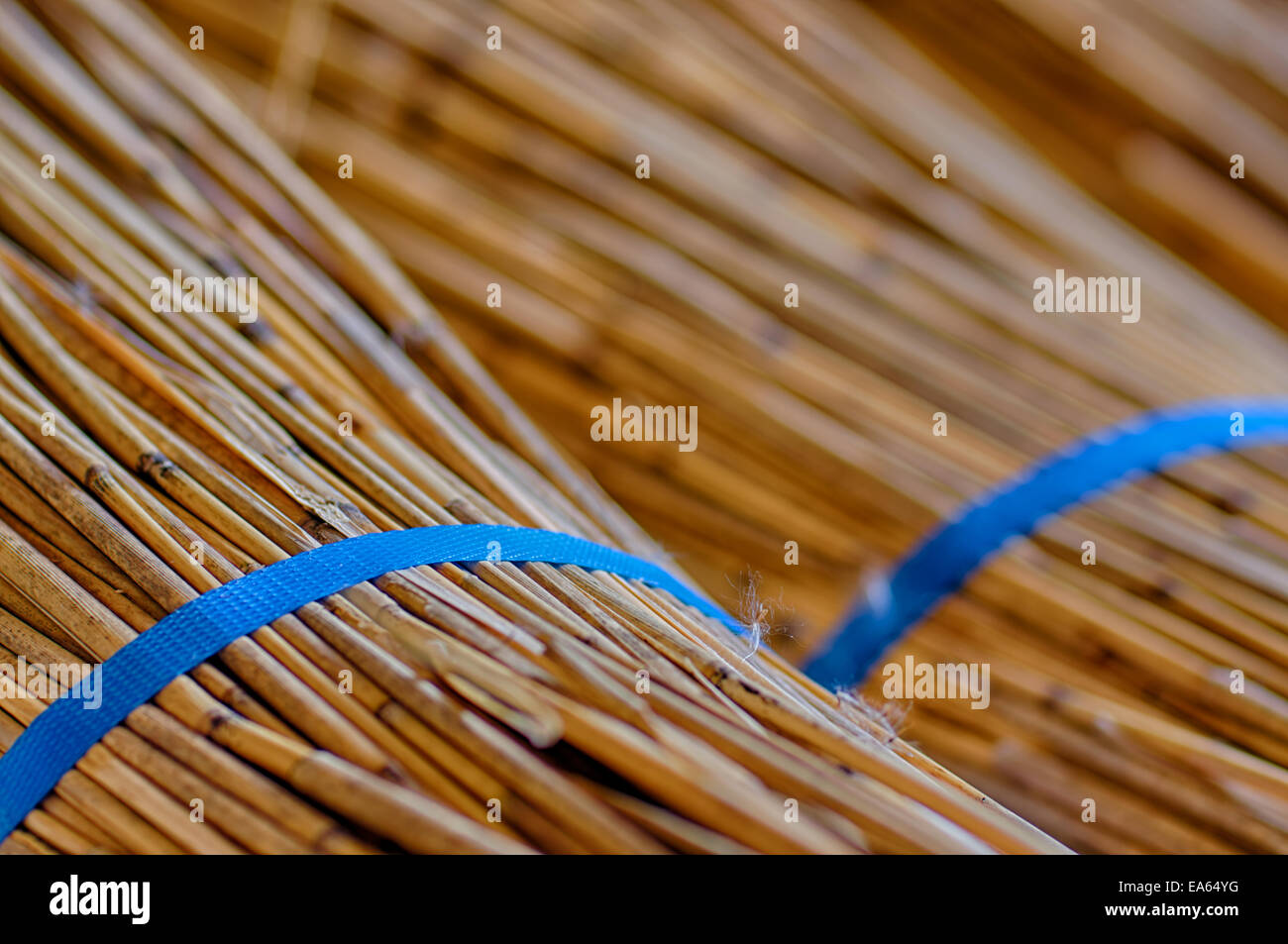 Reed rooftops hi-res stock photography and images - Alamy