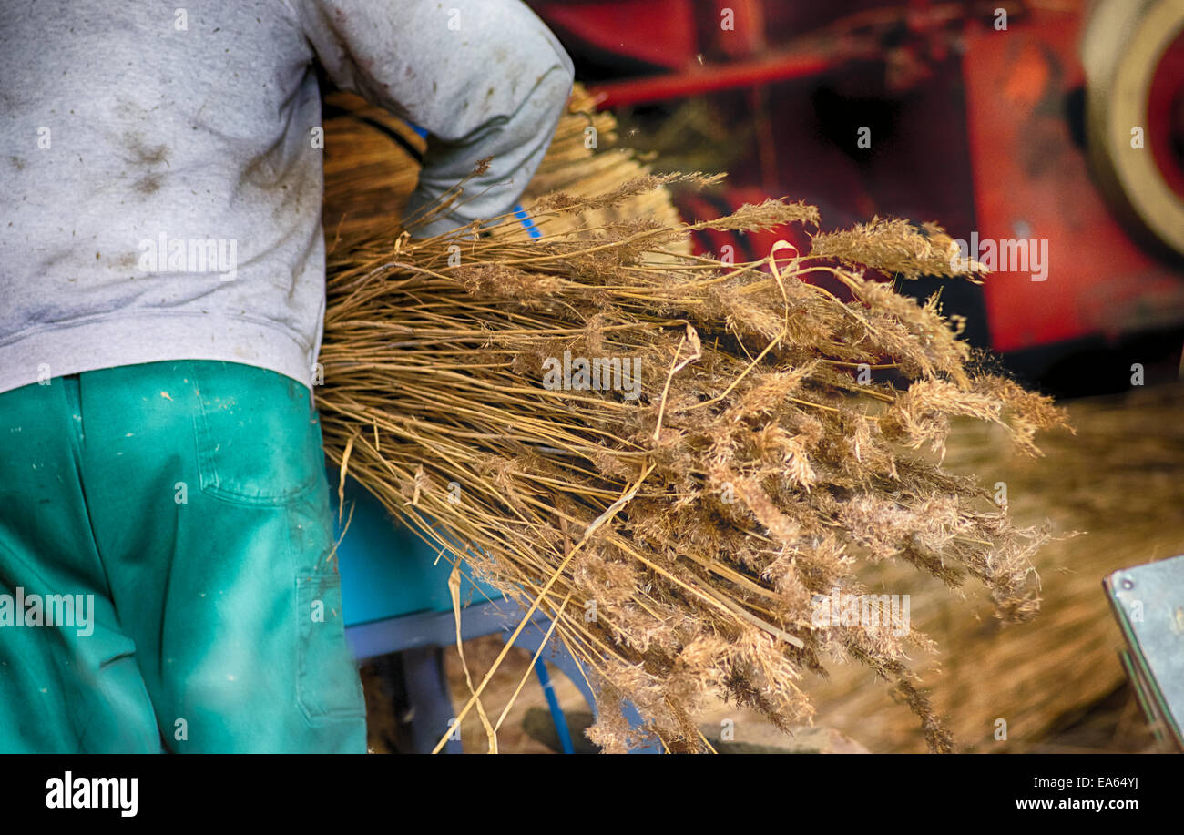 Thatched roof and germany and rooftops hi-res stock photography and ...
