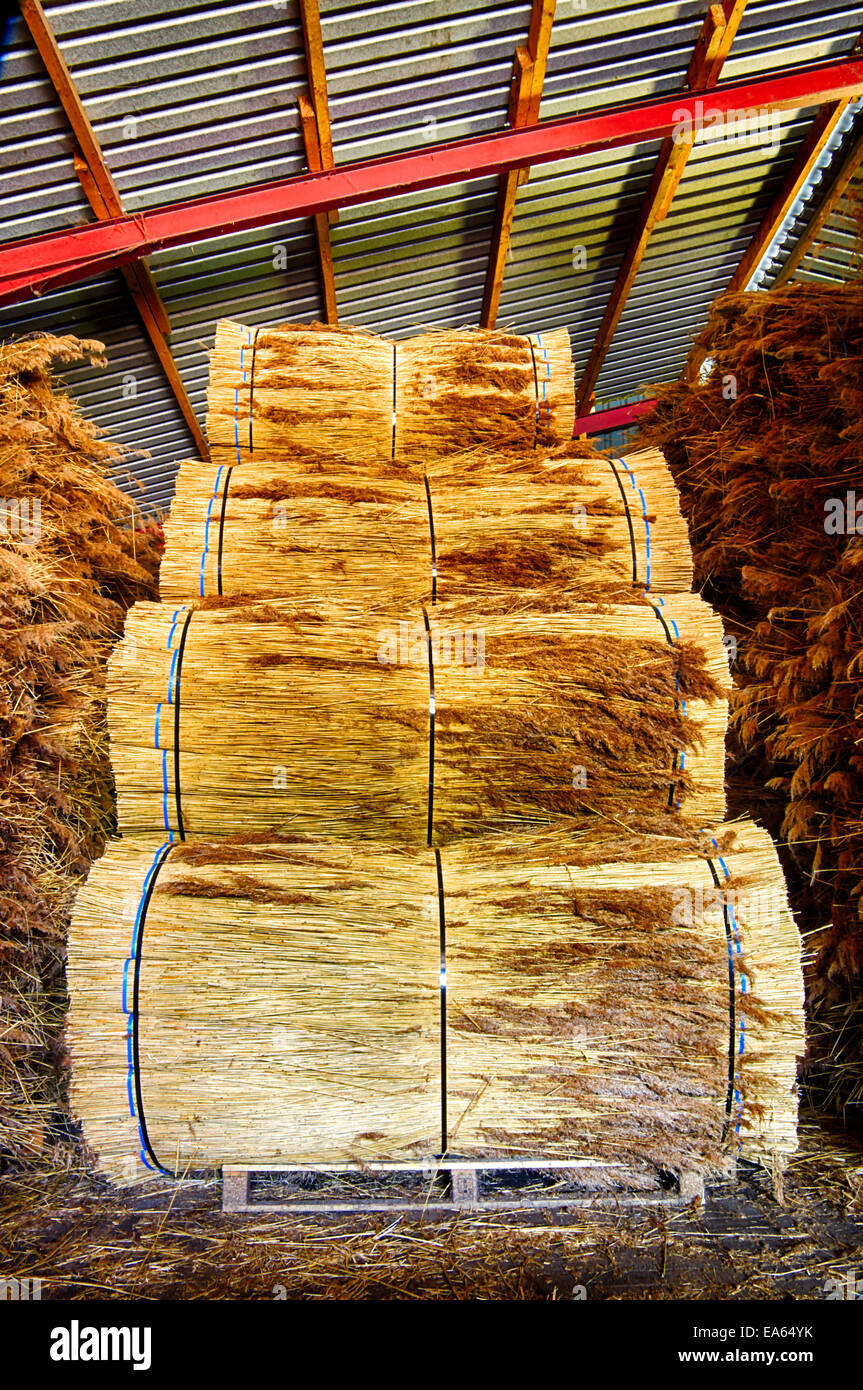 Thatched roof and germany and rooftops hi-res stock photography and ...