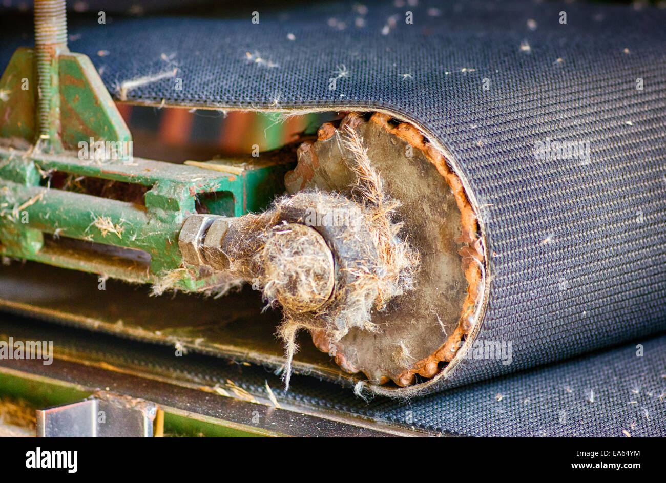 Thatched roof and germany and rooftops hi-res stock photography and ...