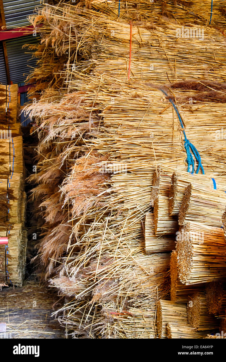 Thatched roof and germany and rooftops hi-res stock photography and ...