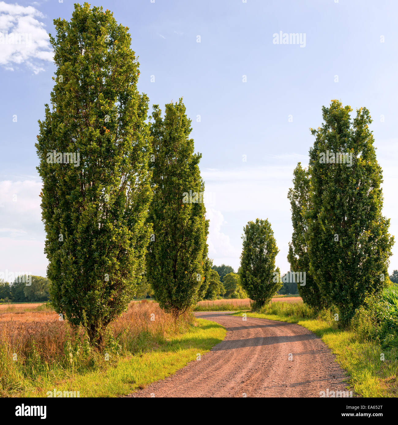 walking ways in Germany Stock Photo - Alamy