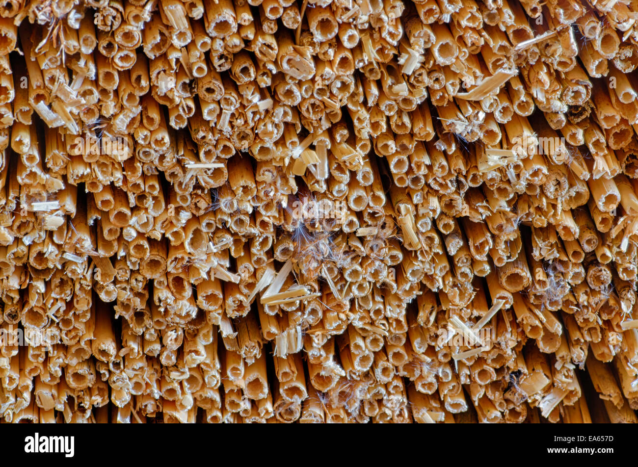 Reed rooftops hi-res stock photography and images - Alamy