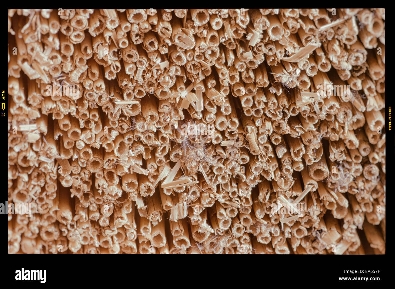 Reeth for rooftops Stock Photo - Alamy