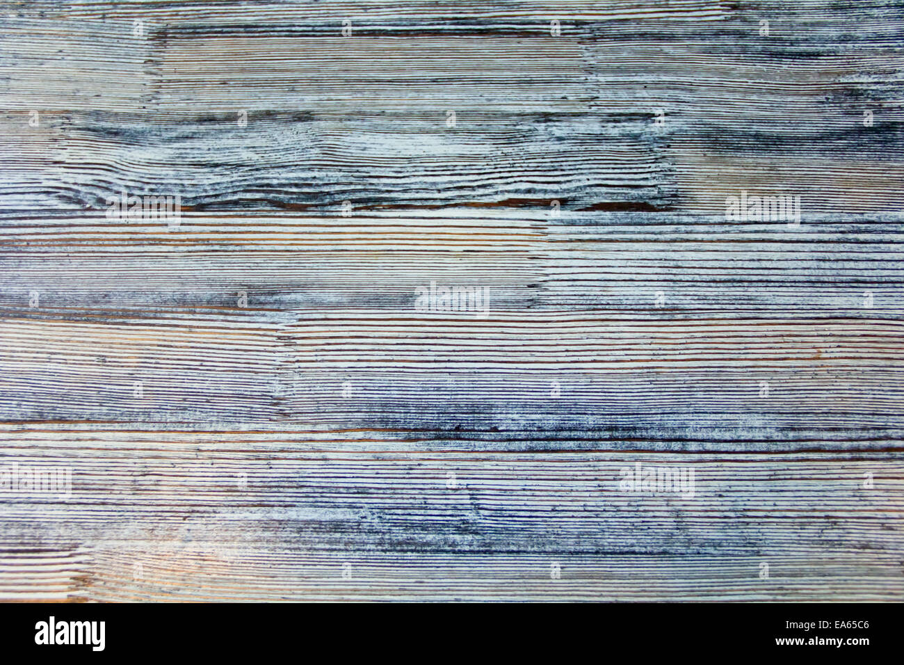 Brown texture stem tree Stock Photo - Alamy