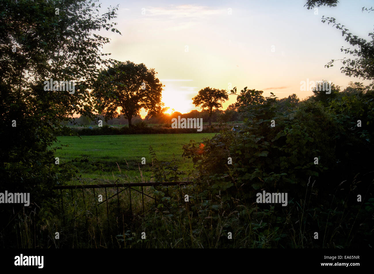 Summer_landscape hi-res stock photography and images - Alamy