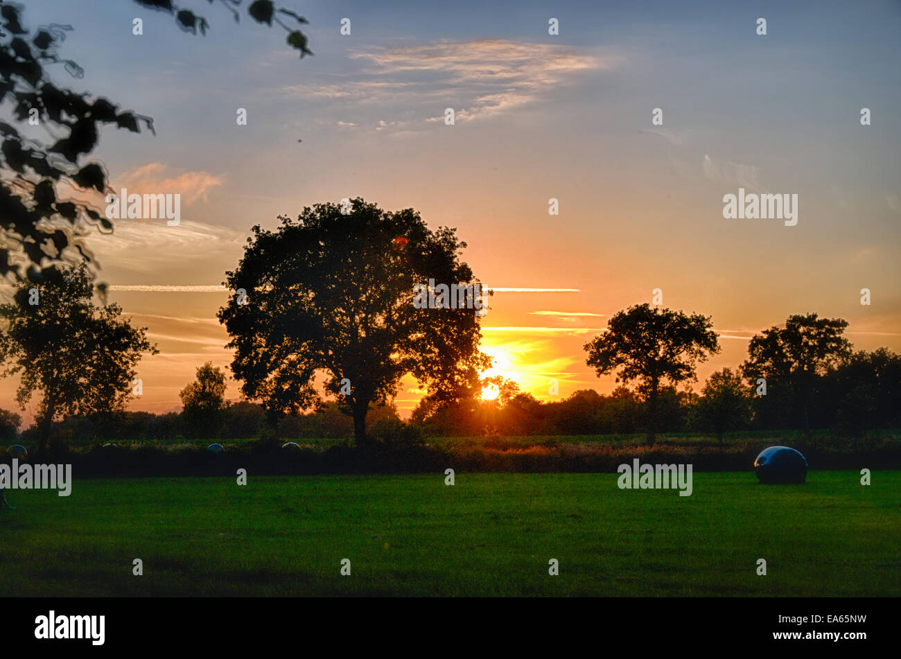 Summer_landscape hi-res stock photography and images - Alamy