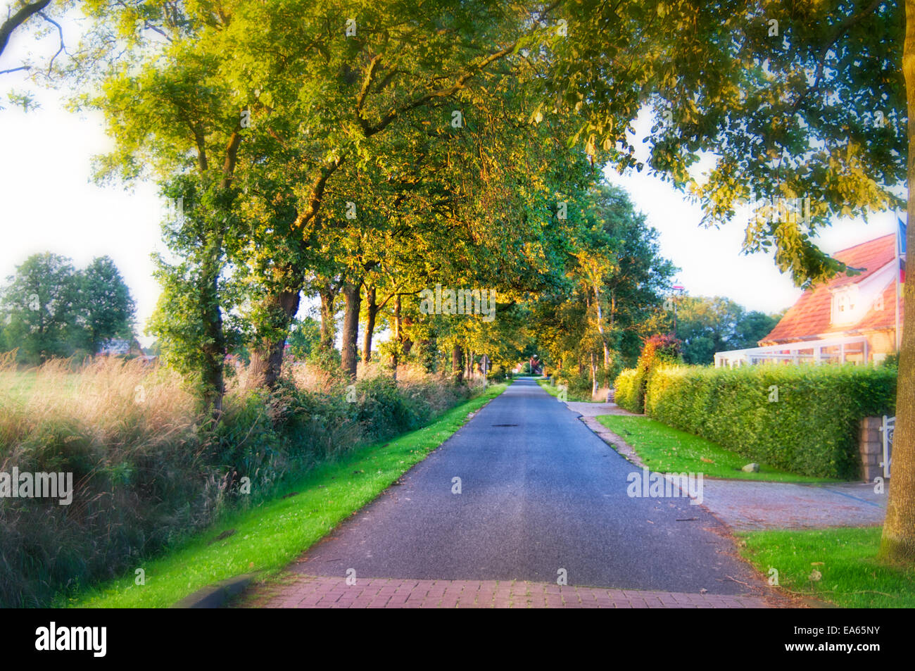 Summer_landscape hi-res stock photography and images - Alamy