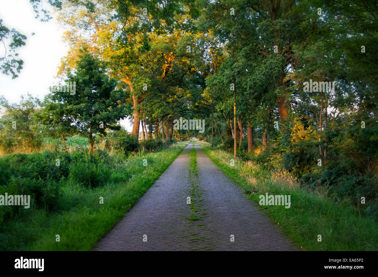 Summer_landscape hi-res stock photography and images - Alamy