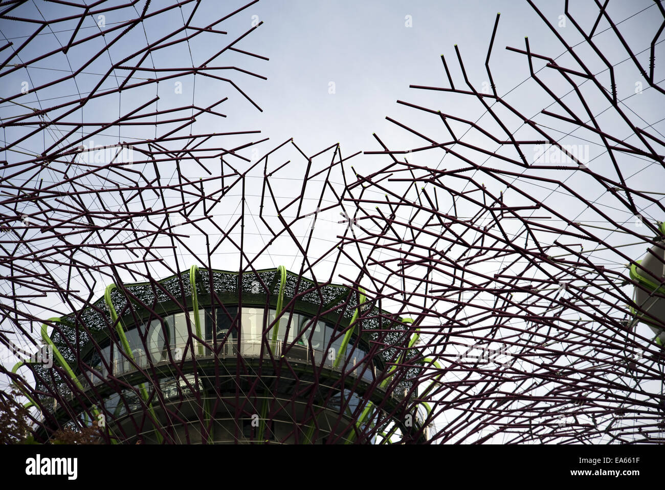 Futuristic supertrees hi-res stock photography and images - Alamy