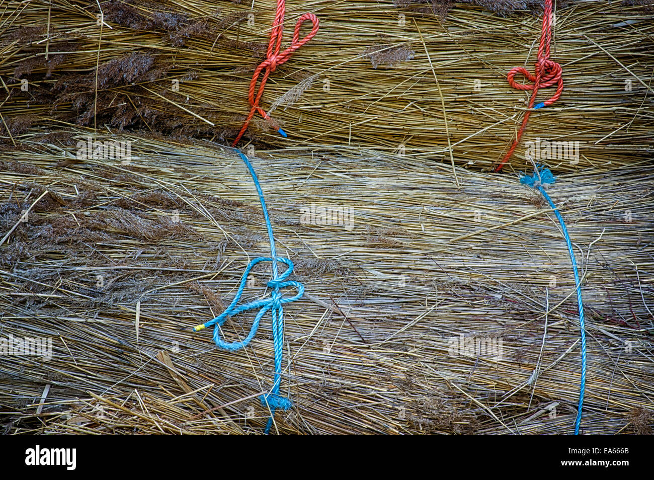 Thatched roof and germany and rooftops hi-res stock photography and ...