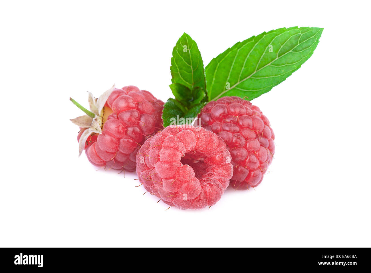 Raspberries with Mint Leaf Stock Photo - Alamy