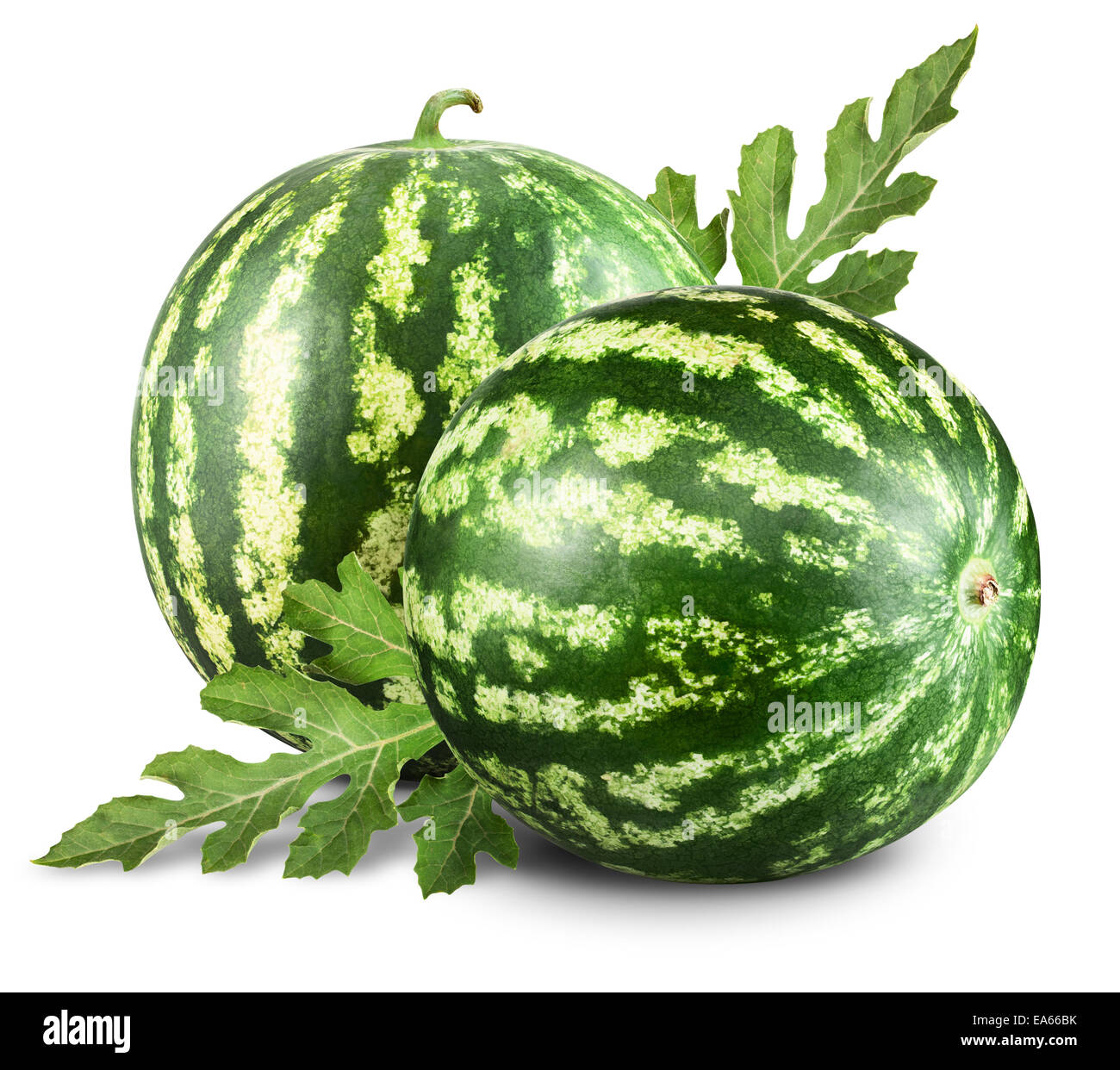 Dessert watermelon hi-res stock photography and images - Alamy