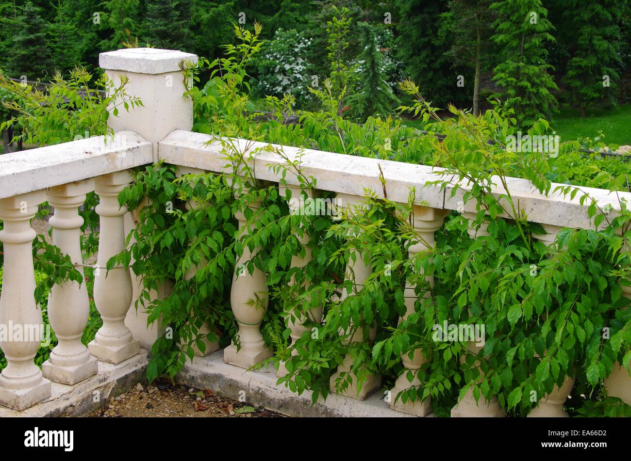 Balustrade railing balcony hi-res stock photography and images - Alamy
