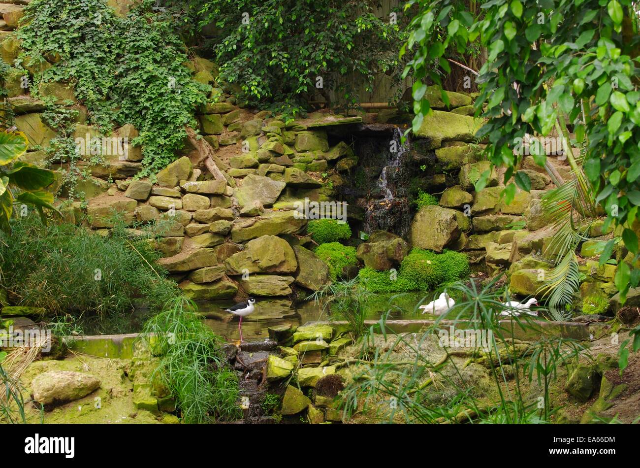 Bach background hi-res stock photography and images - Alamy