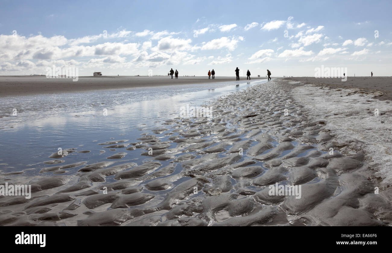 Beach of St. Peter Ording at low tide Stock Photo - Alamy