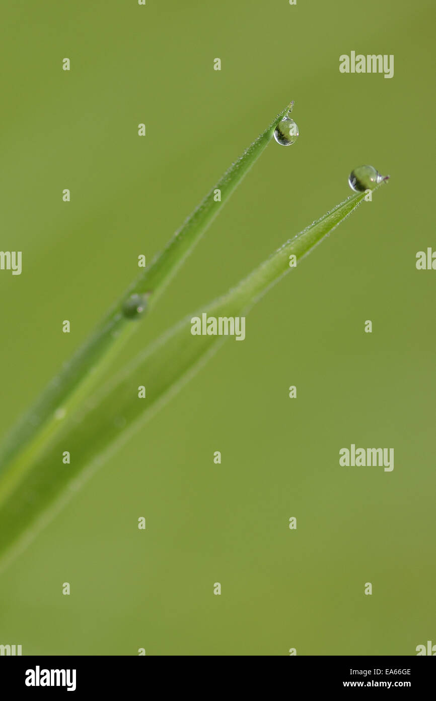 Rope and raindrops hi-res stock photography and images - Alamy