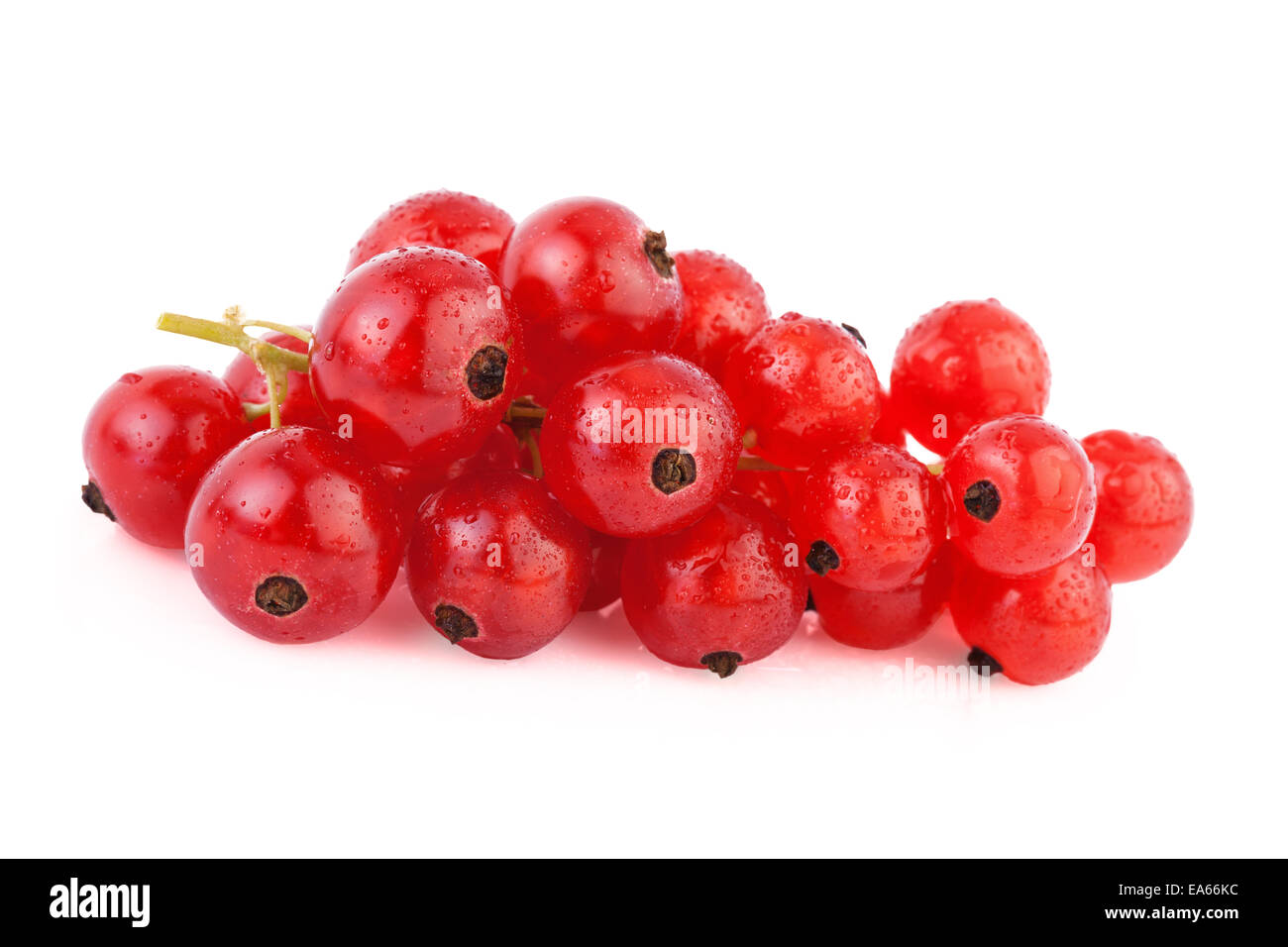 Red white currant sour Cut Out Stock Images & Pictures - Alamy