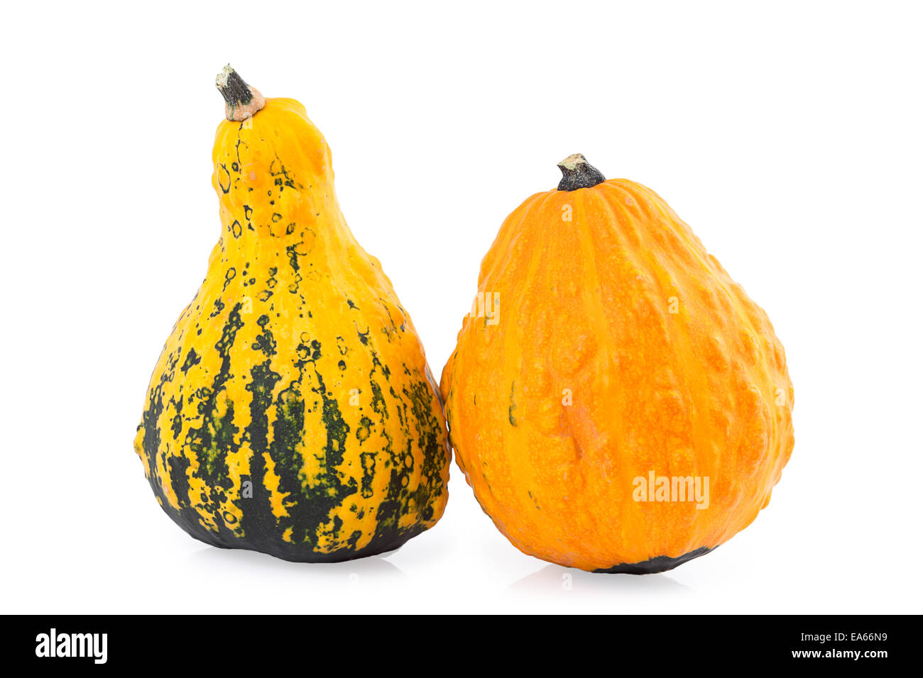 White striped gourds hi-res stock photography and images - Alamy