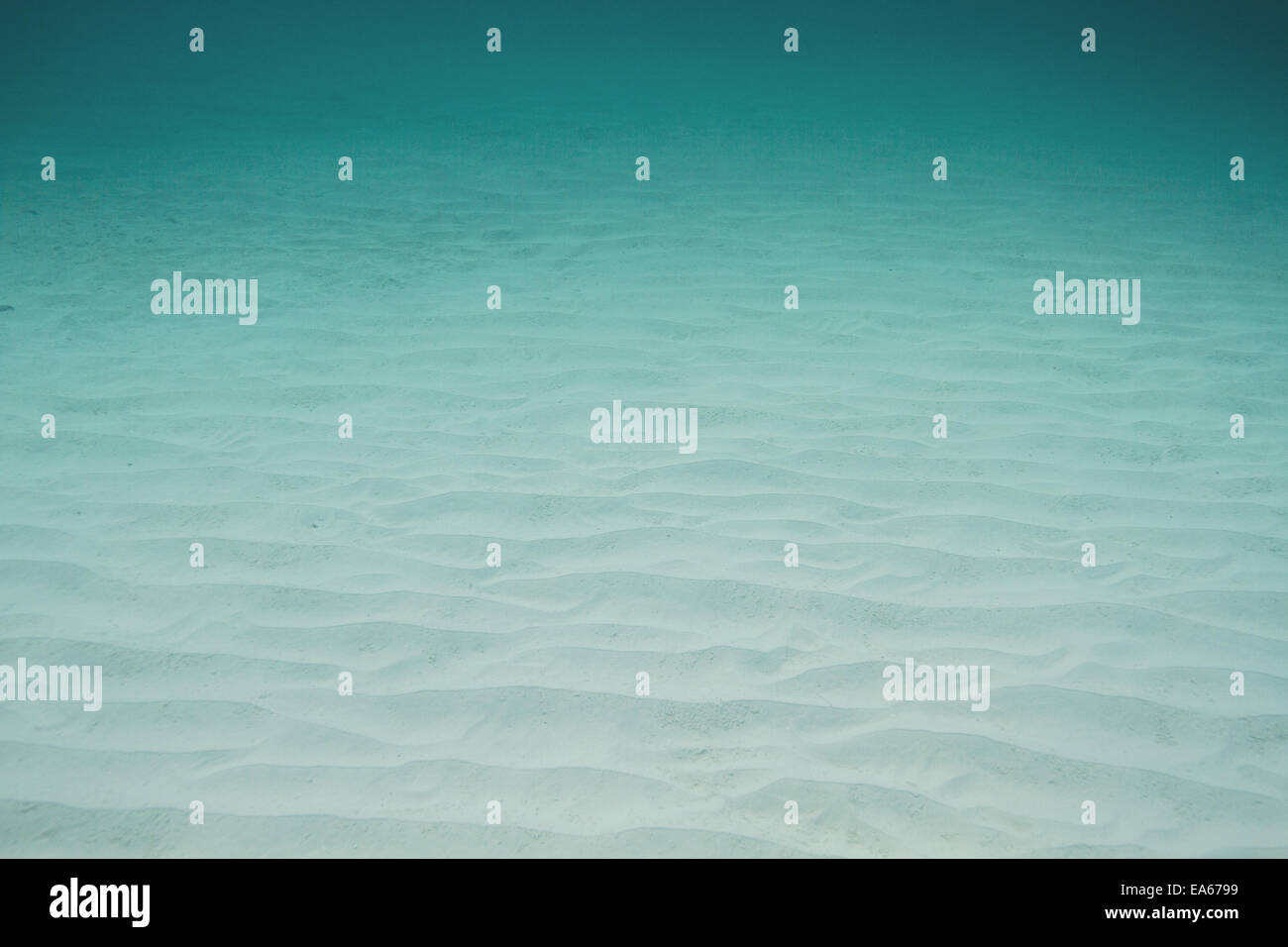 Ocean bottom hi-res stock photography and images - Alamy