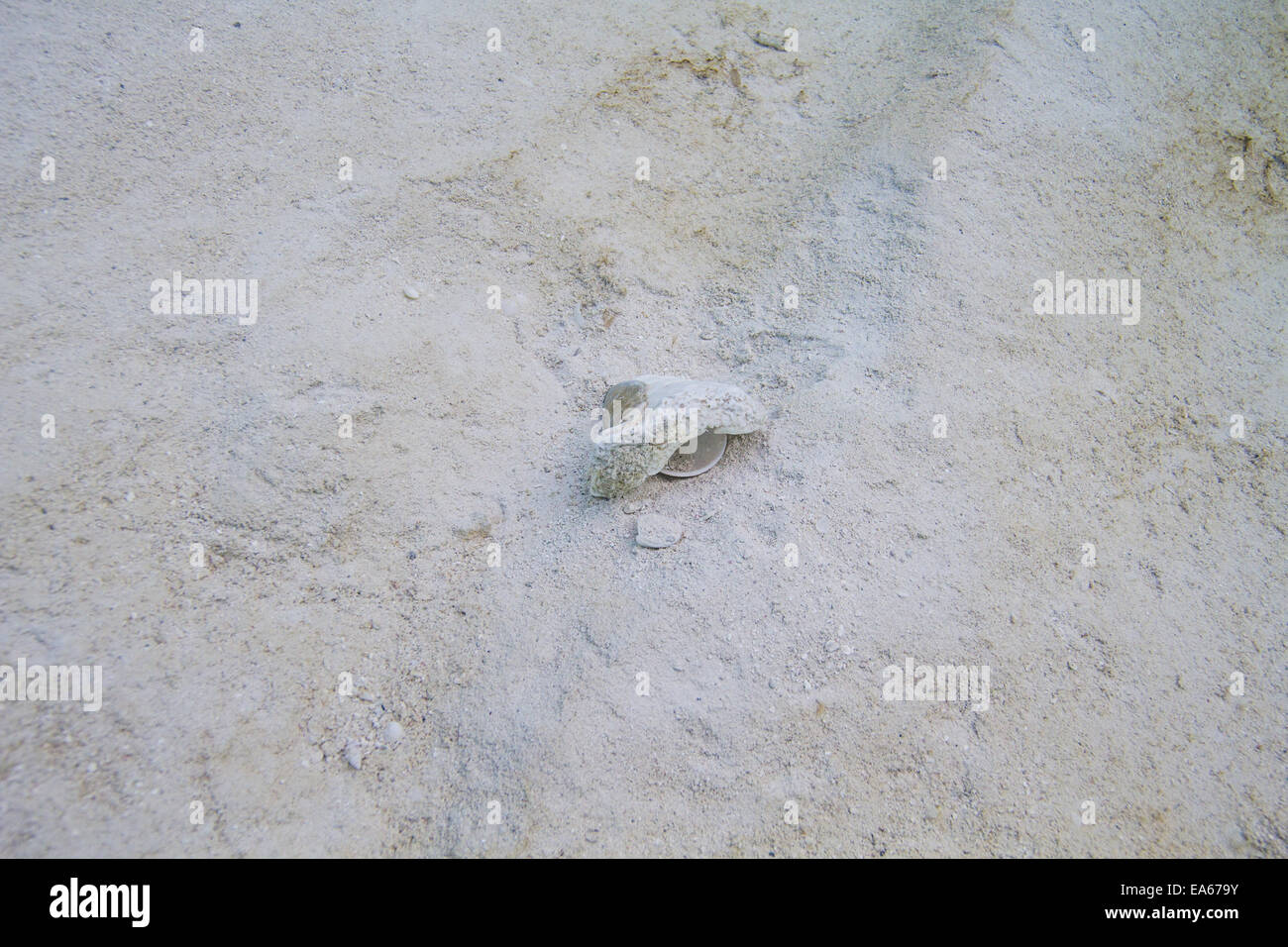 Broken caribbean hi-res stock photography and images - Alamy