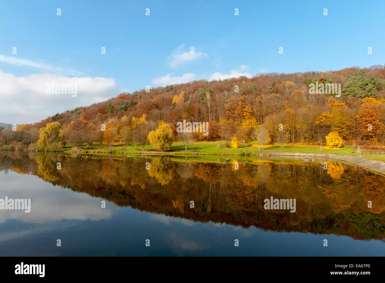 Silzer see hi-res stock photography and images - Alamy