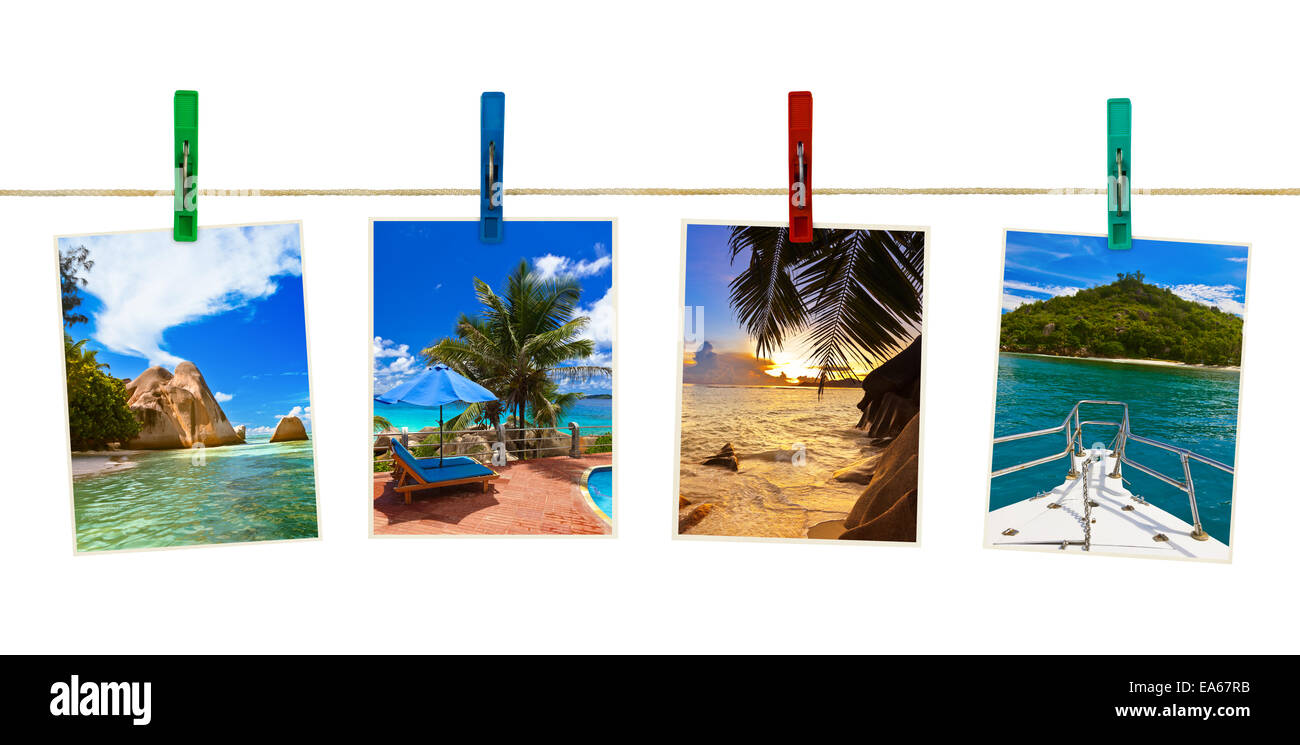 Pin palm Cut Out Stock Images & Pictures - Alamy