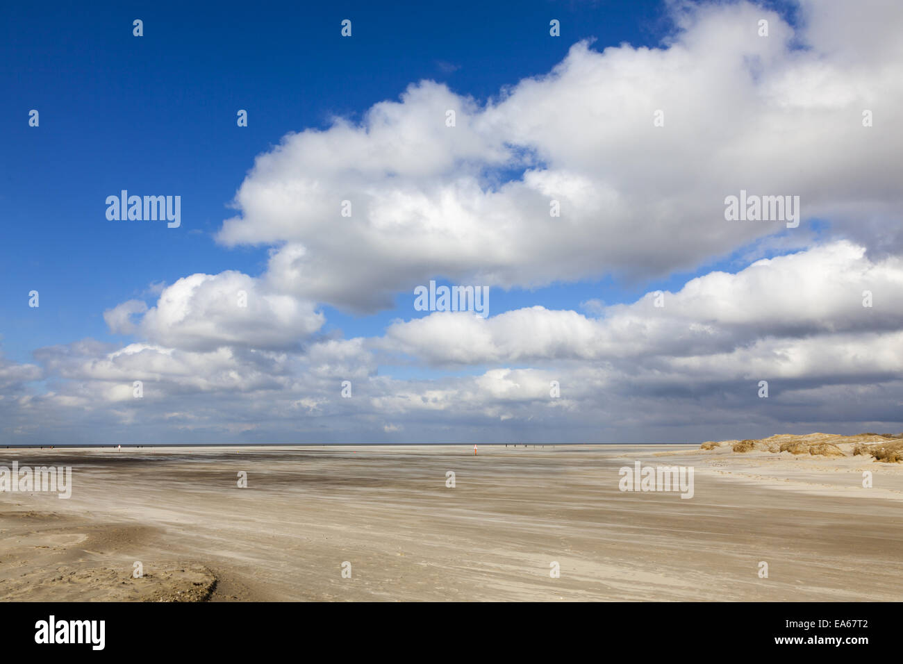 Peter blau hi-res stock photography and images - Alamy