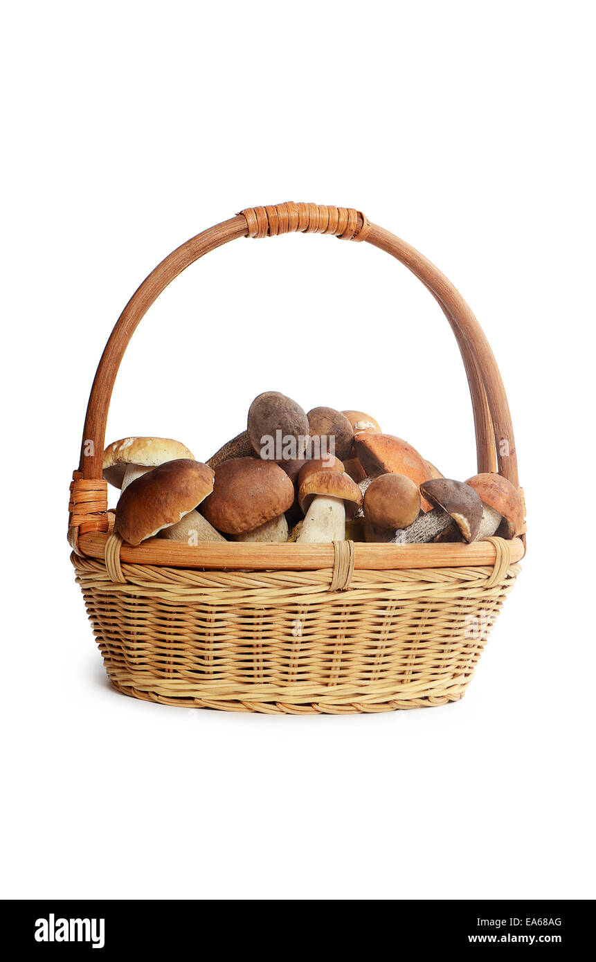 Edible boletus mushroom in Cut Out Stock Images & Pictures - Alamy