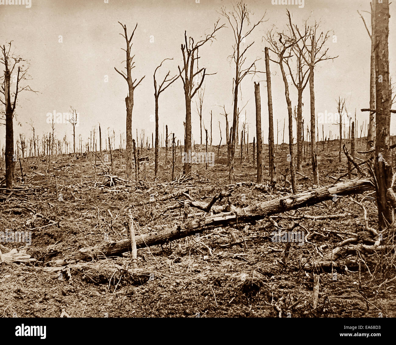 WW1 Sanctuary Wood Belgium Stock Photo - Alamy