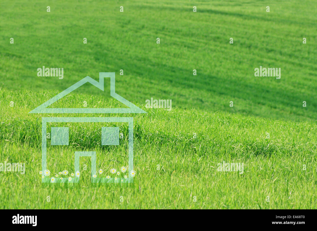 Dream house with daisies Stock Photo - Alamy